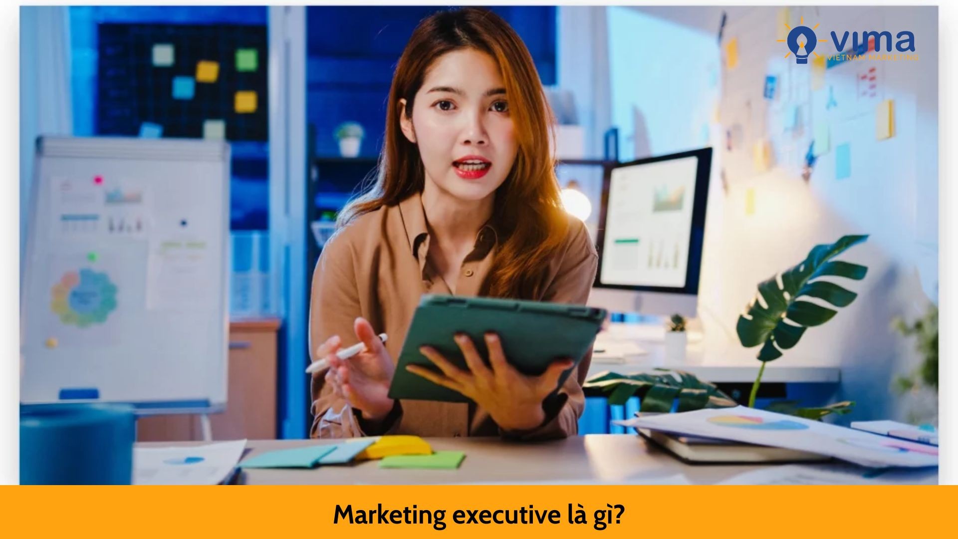 Marketing executive đảm nhận vai trò gì trong phòng marketing?